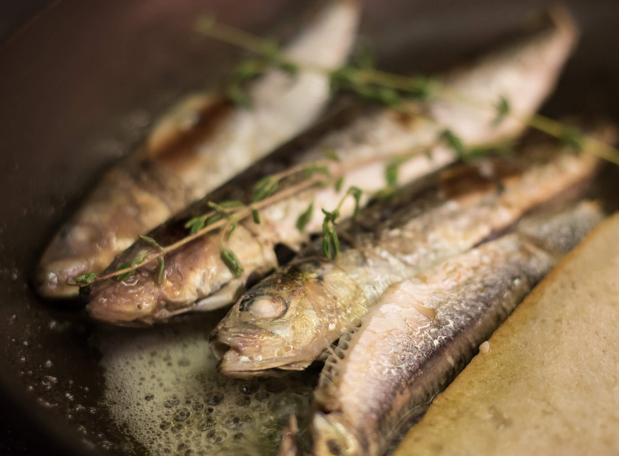 The Harbour Fish & Grill by Aaron Janes